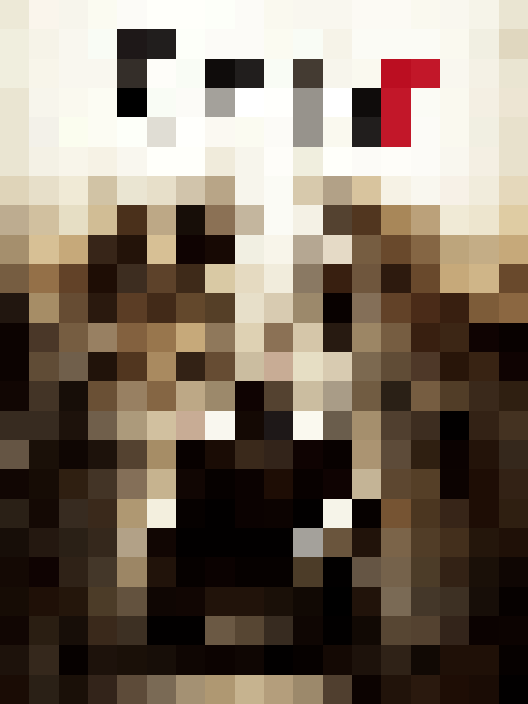 CoverQuest | The daily game covers guessing game